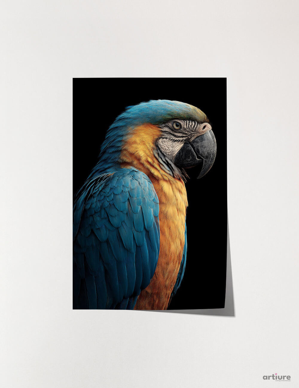 Blue & Yellow Macaw Portrait