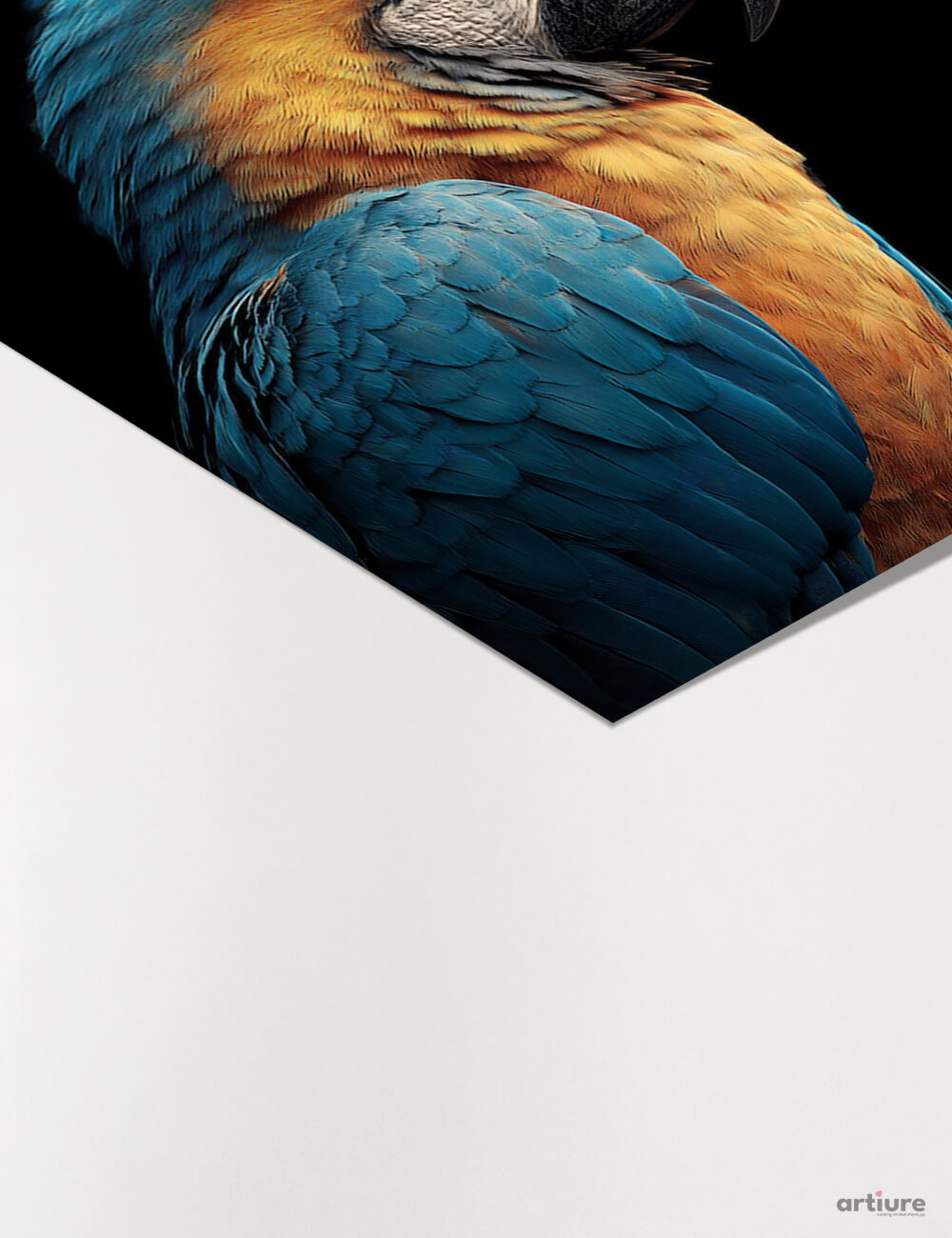 Blue & Yellow Macaw Portrait